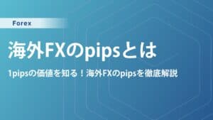 海外FXのpips（ピップス）とは？損益計算・投資効率の算出方法を解説